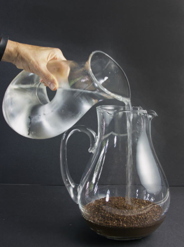 Buzzing About Cold Brewed Coffee - Salt and Serenity